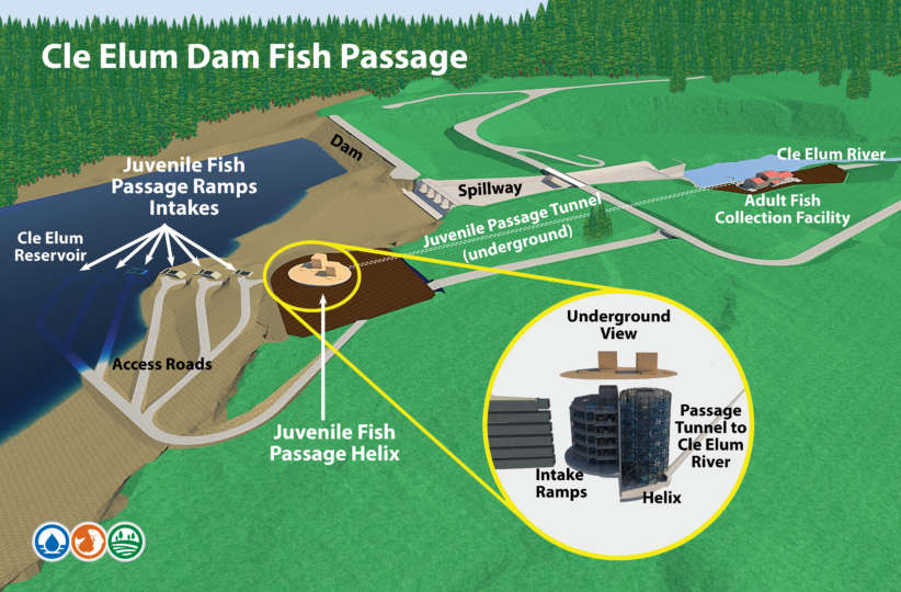 Work Continues At Washington’s Cle Elum Dam To Improve Juvenile Sockeye Passage As Part Of ...