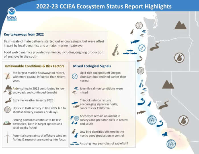 California Current Ecosystem Status Report Shows Disconnect Between ...
