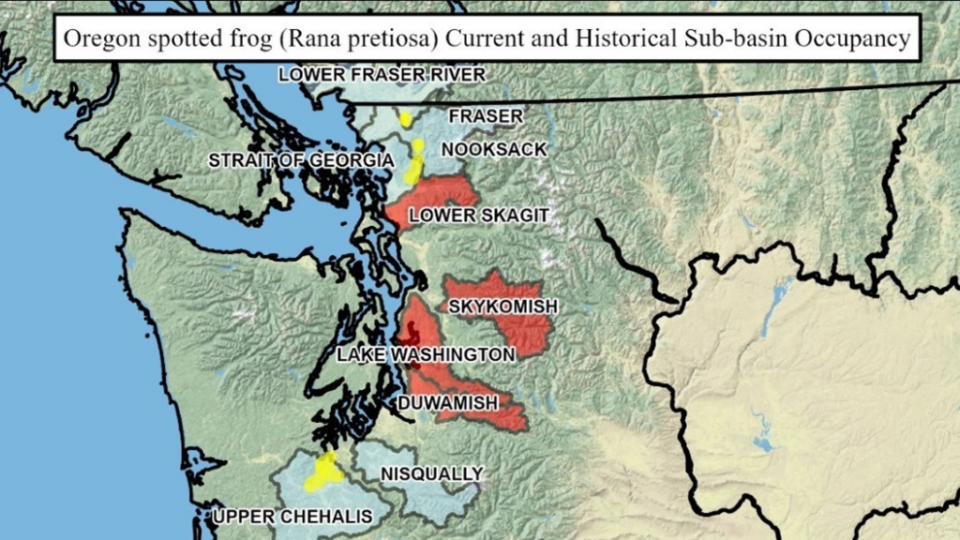 USFWS Releases Final Recovery Plan For Oregon Spotted Frog, Inhabits ...