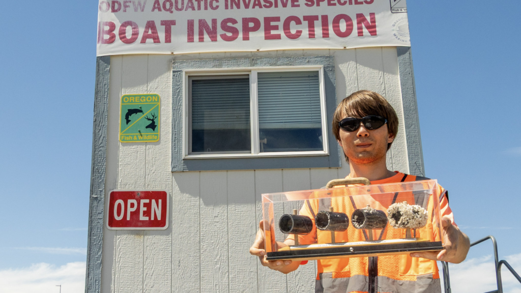 Oregon Boat Inspection Stations Open To Protect Waters From Aquatic ...