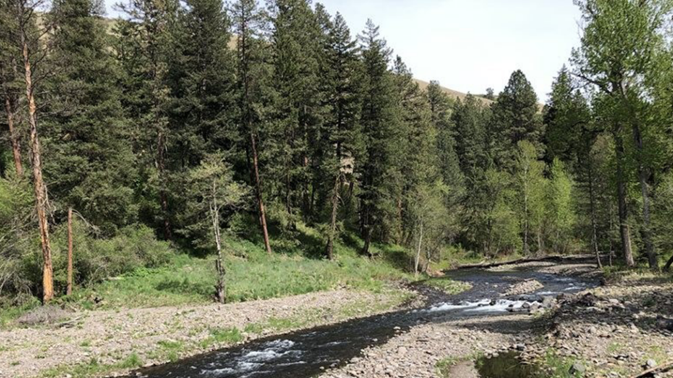 Border-Crossing Basin: States, Umatilla Tribes Collaborating In Funding ...